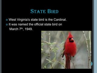 West virginia, emily byers | PPTX