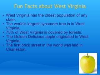 U.S. State Powerpoint | PPT