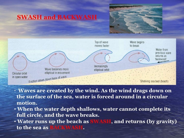 Westward ho fieldtrip 2010