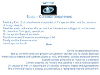 Wet eig new technologies presentation january2010 | PPT