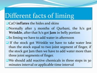 Wet blue production of cow hides | PPTX