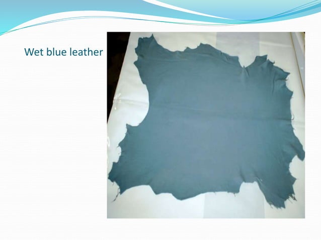 Wet blue production of cow hides | PPTX