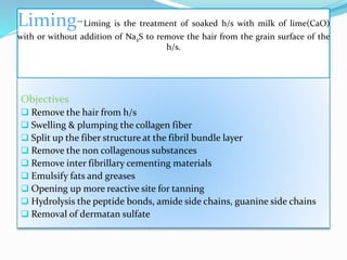 Wet blue production of cow hides | PPTX