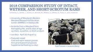 Wether or not | PPTX