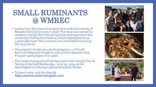 Wether or not | PPTX