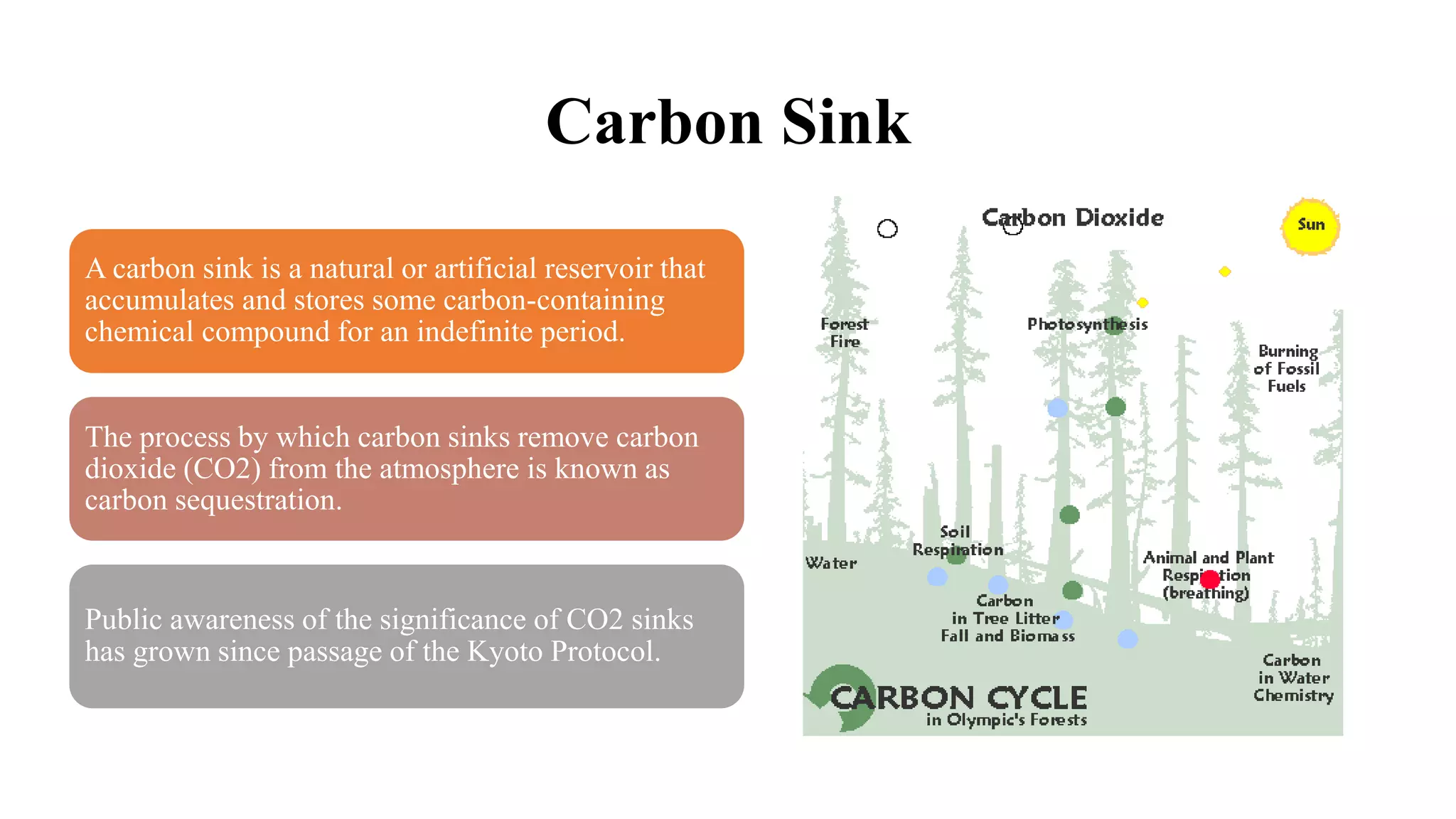 Wetland as carbon Sink | PPTX