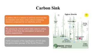 Wetland as carbon Sink | PPTX
