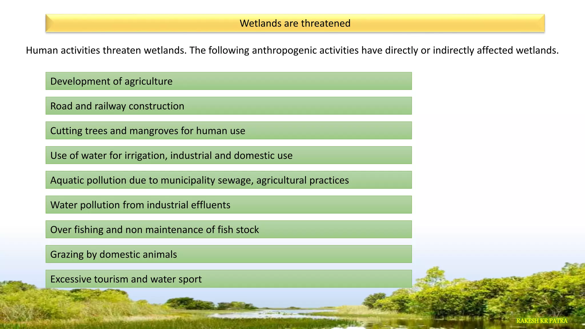 Wetland | PPTX