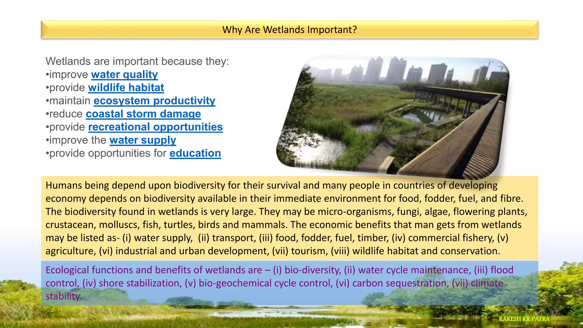 Wetland | PPTX