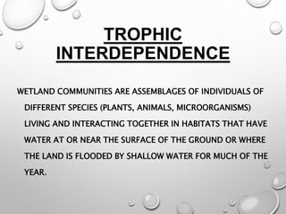 Wetlands: physiography, biological diversity and trophic ...