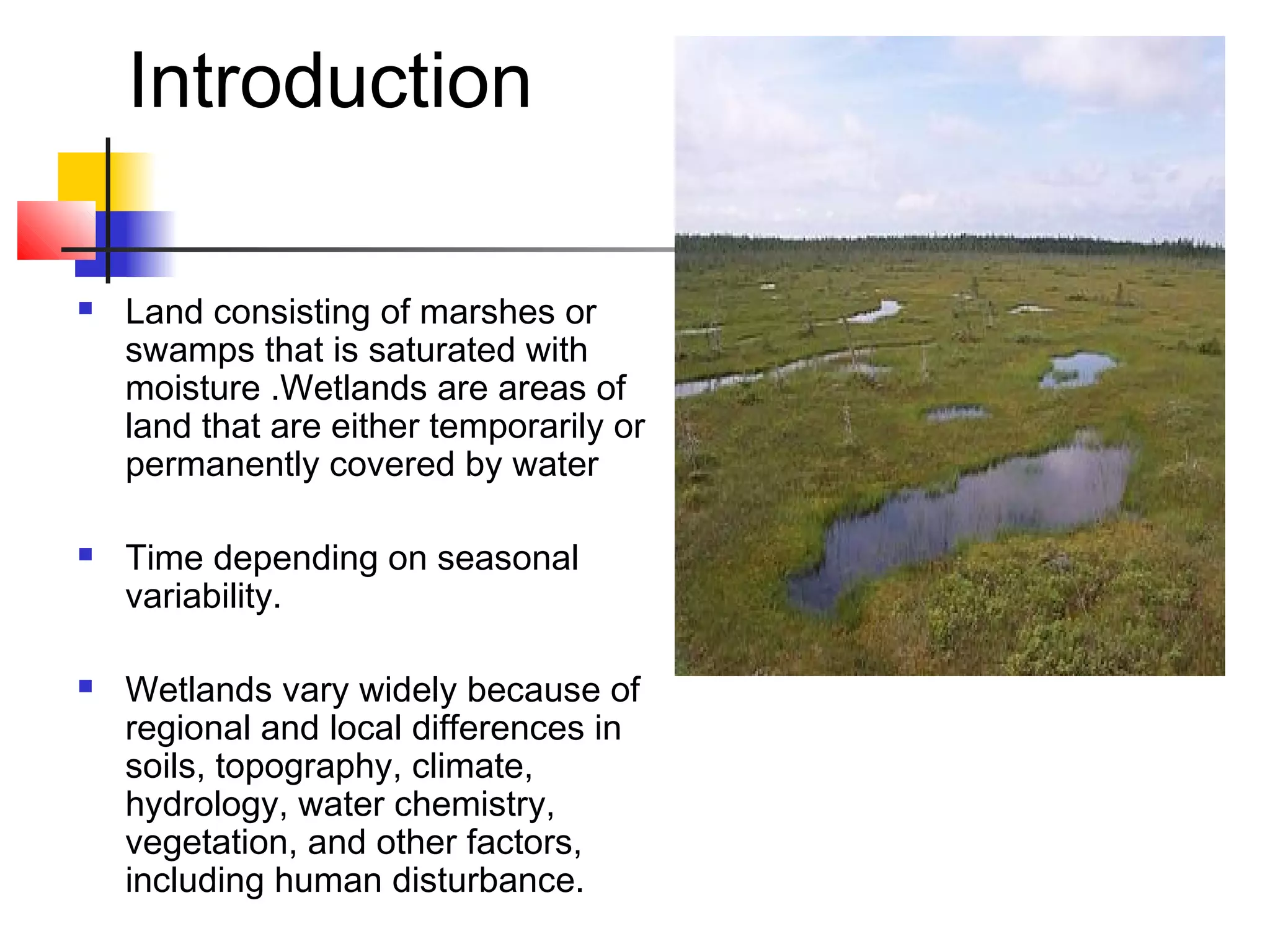 Remote Sensing And GIS Application In Wetland Mapping | PPT
