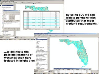 Remote Sensing And GIS Application In Wetland Mapping | PPT