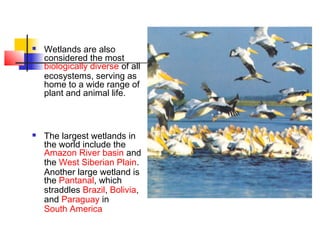 Remote Sensing And GIS Application In Wetland Mapping | PPT