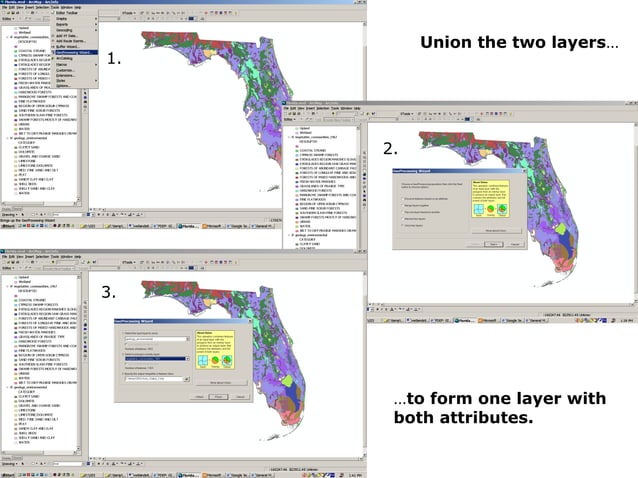 Remote Sensing And GIS Application In Wetland Mapping | PPT