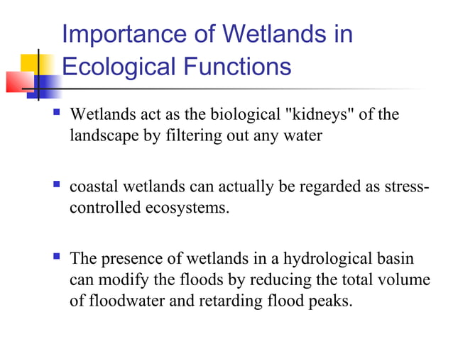 Remote Sensing And GIS Application In Wetland Mapping | PPT
