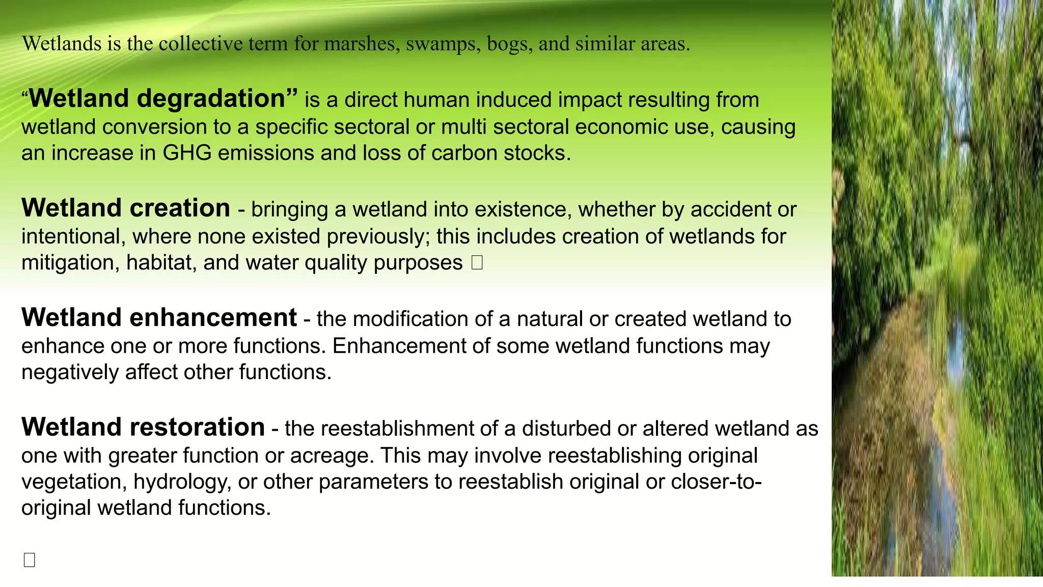 Wetland conservation | PPTX