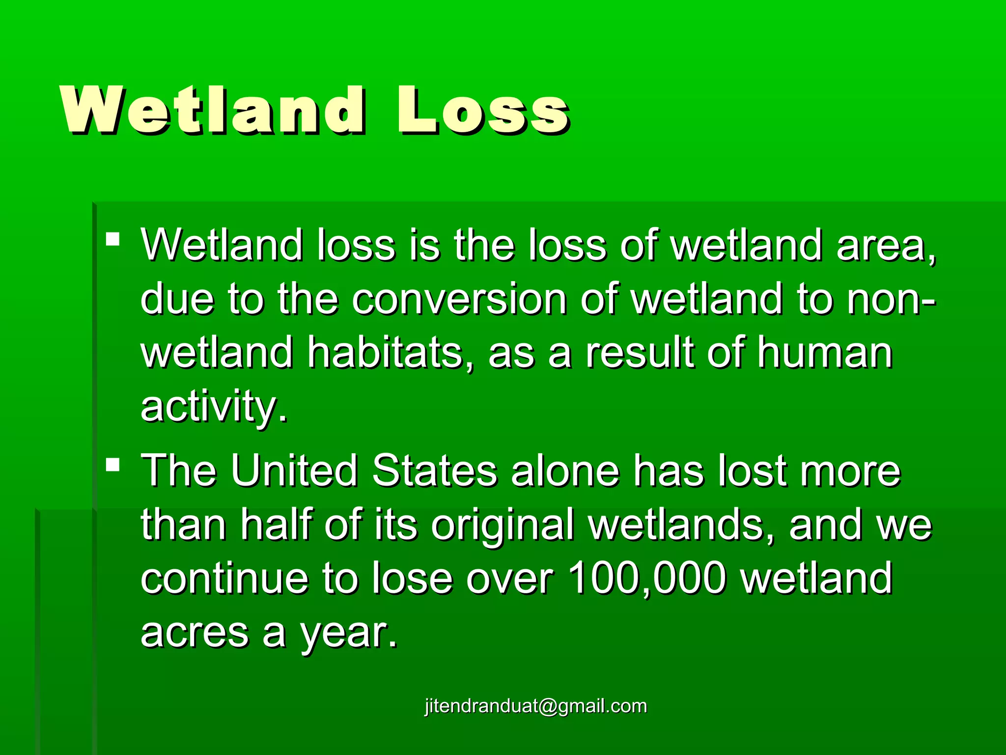 Wetland destruction | PPT