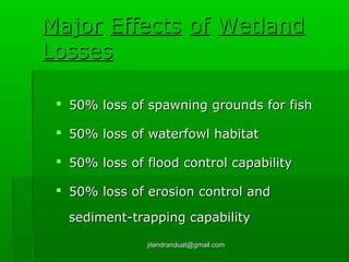 Wetland destruction | PPT