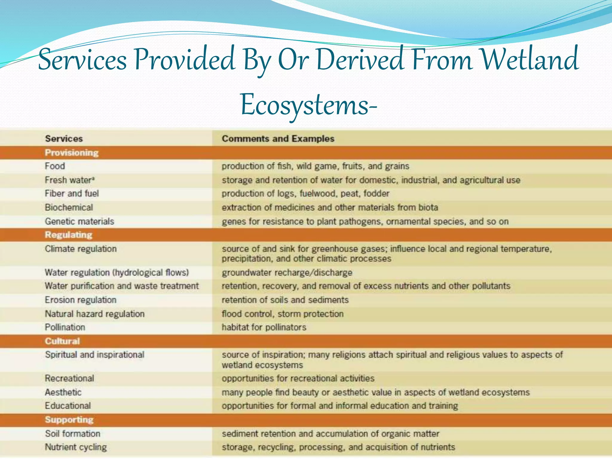 Wetland Ecosystems | PPTX