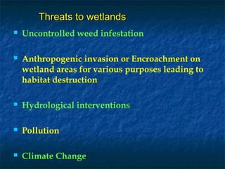 Impacts of wetland degradation | PPT