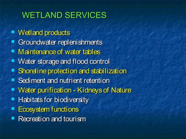 Impacts of wetland degradation | PPT | Land and Farms | Real Estate