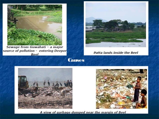 Impacts of wetland degradation | PPT | Land and Farms | Real Estate
