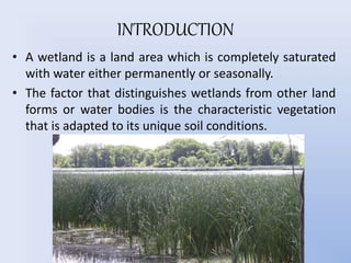Wetland mapping | PPTX
