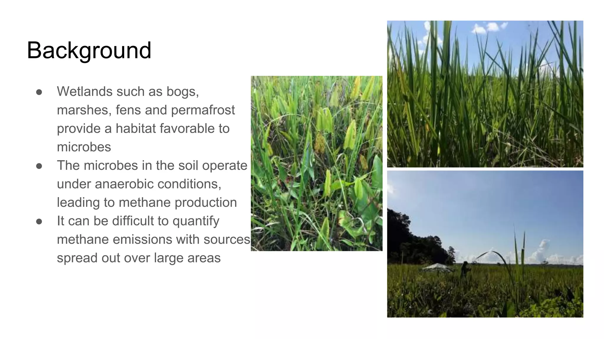 Wetland methane flux chamber | PPT
