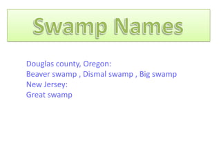 Miss Campolongo's Period 6: Swamps | PPT