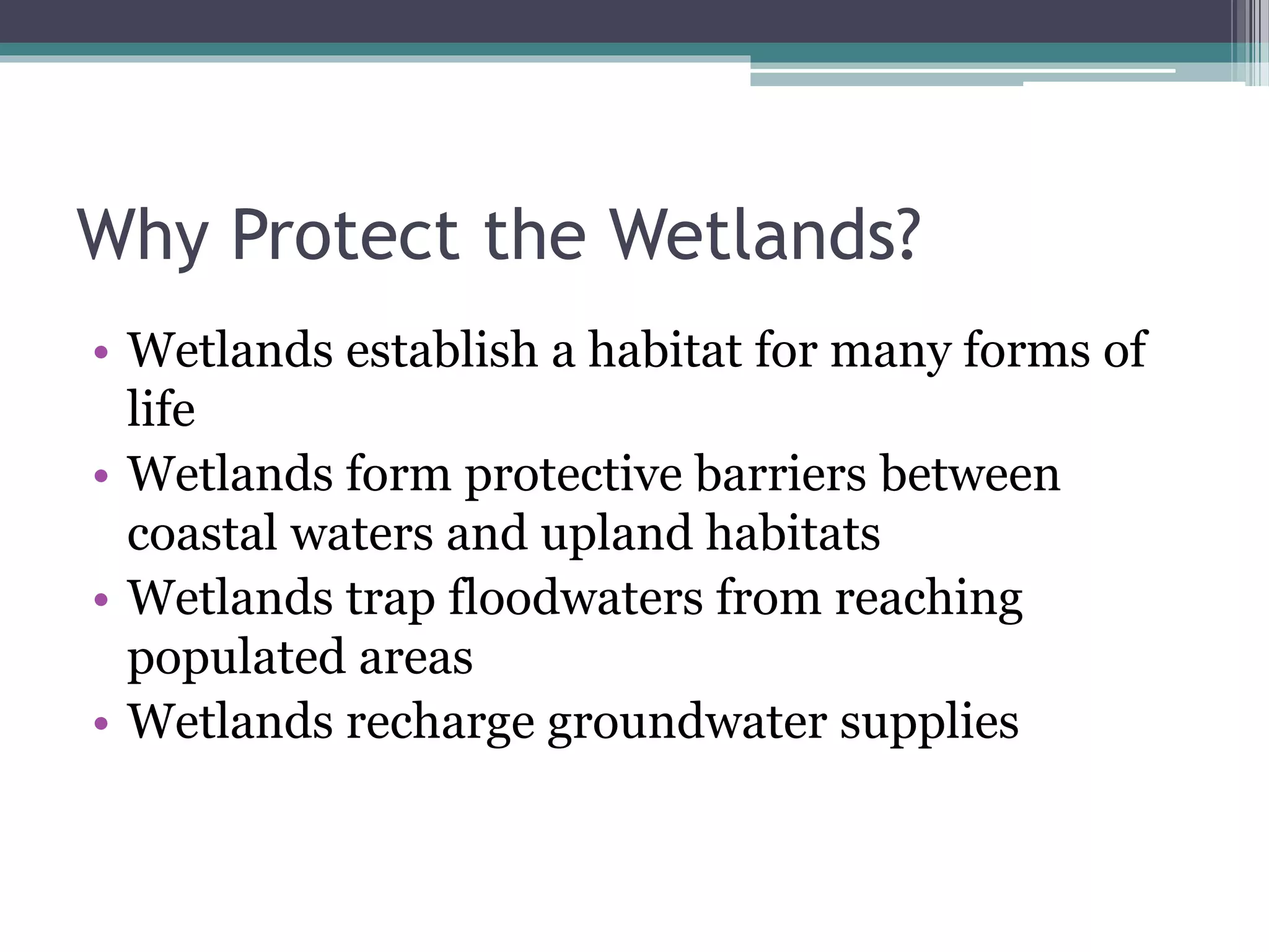 Wetland protection | PPTX