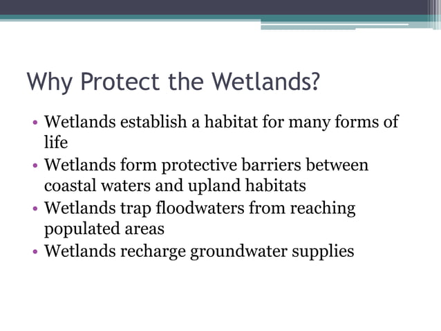 Wetland protection | PPTX | Geography | Science