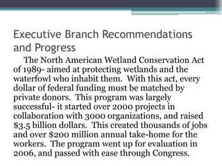 Wetland protection | PPTX