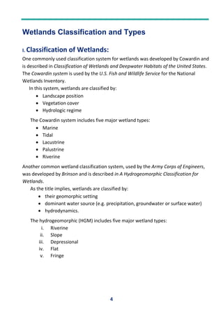 Wetland Ecosystem : Field Report Okhla Bird Sanctuary | PDF