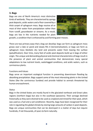 Wetland Ecosystem : Field Report Okhla Bird Sanctuary | PDF