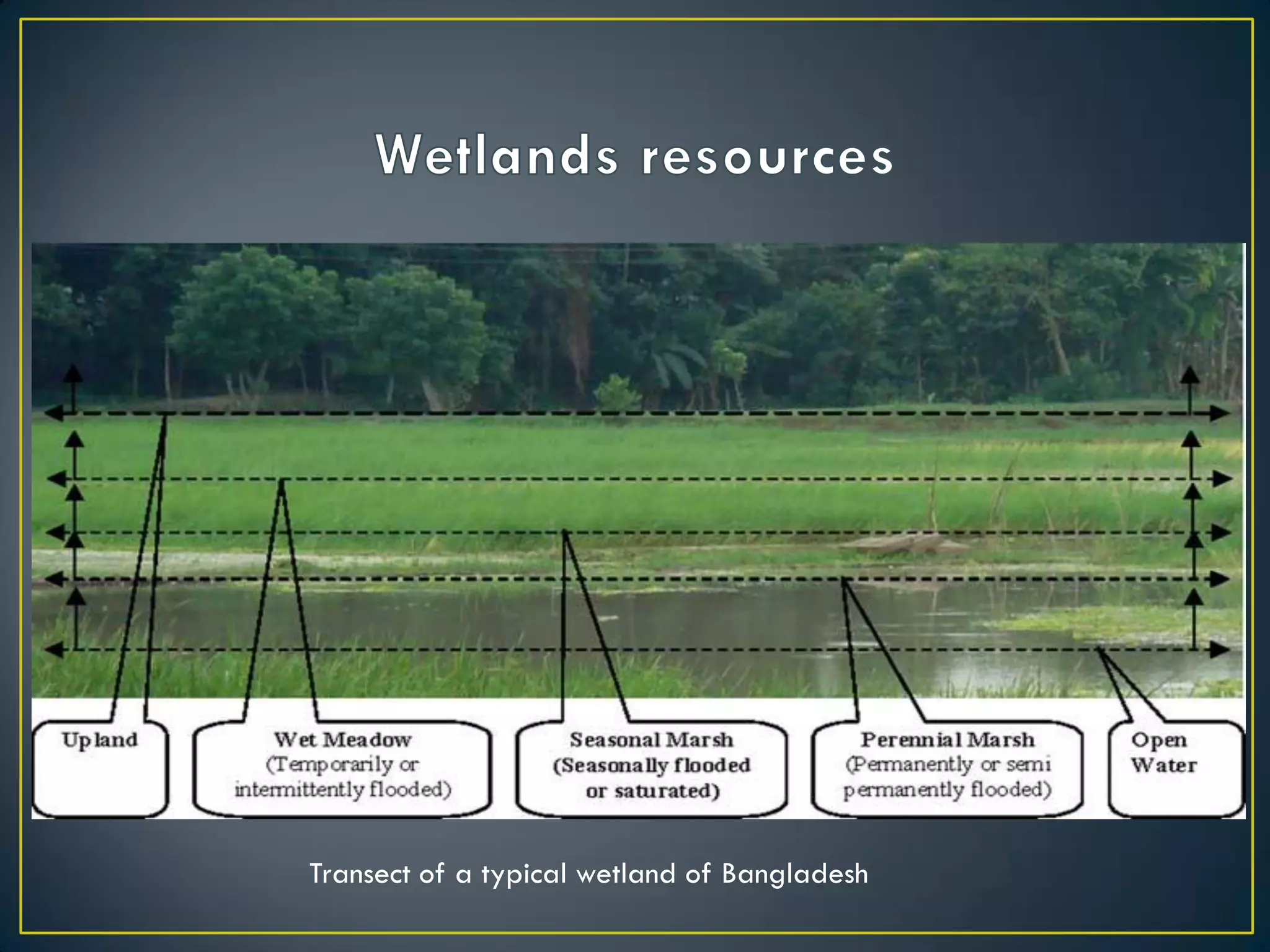 Wetland resources management in Bangladesh | PDF