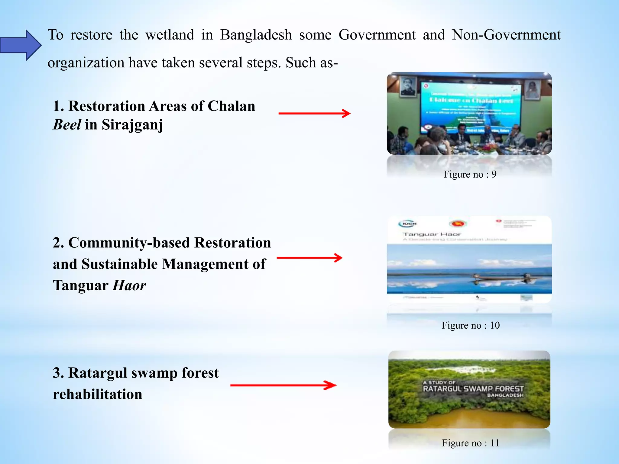 Wetland Restoration, Rehabilitation & Management Strategies for ...