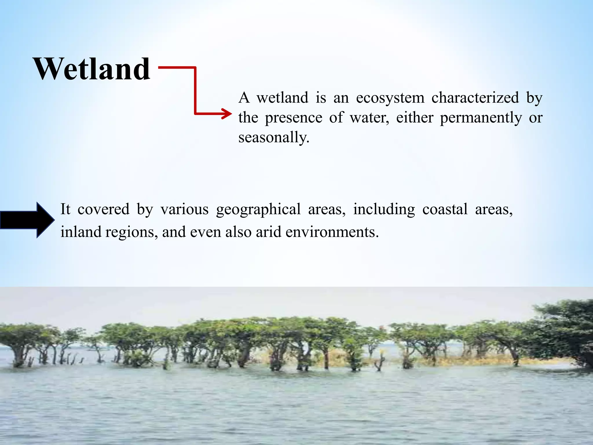 Wetland Restoration, Rehabilitation & Management Strategies for ...