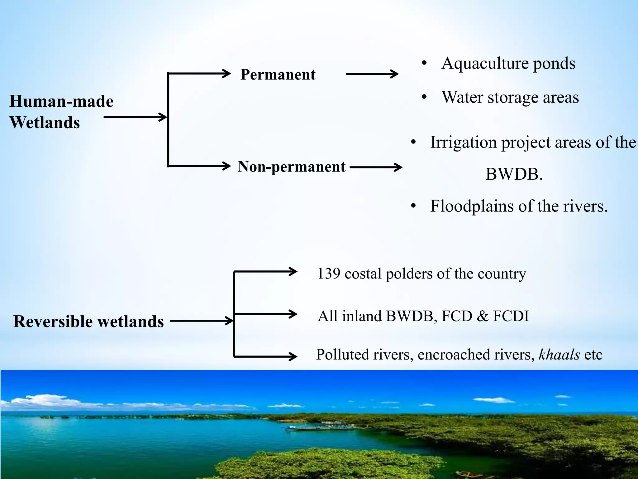 Wetland Restoration, Rehabilitation & Management Strategies for Conservation & Sustainability.pptx