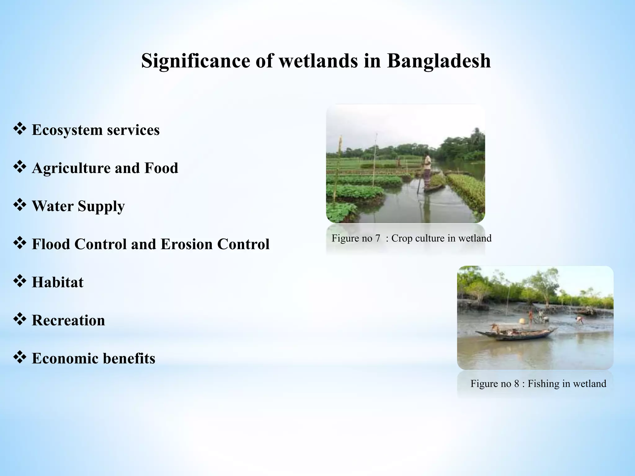 Wetland Restoration, Rehabilitation & Management Strategies for ...