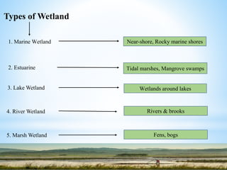 Wetland Restoration, Rehabilitation & Management Strategies for ...