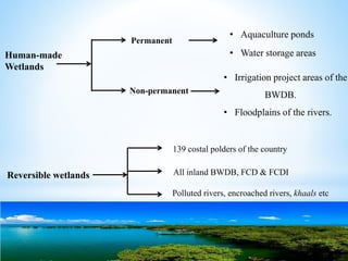 Wetland Restoration, Rehabilitation & Management Strategies for ...