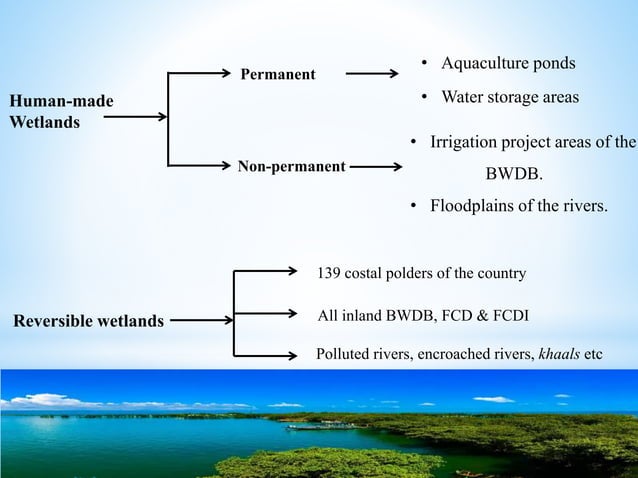 Wetland Restoration, Rehabilitation & Management Strategies for Conservation & Sustainability ...