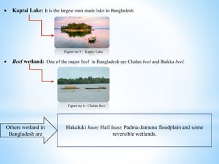 Wetland Restoration, Rehabilitation & Management Strategies for ...