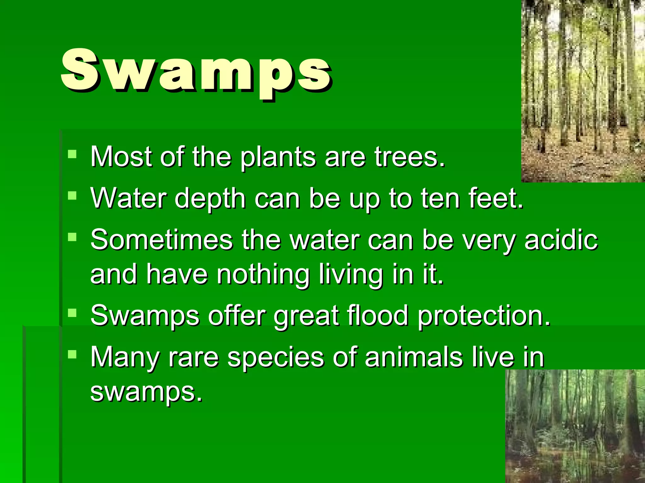 Wetlands by Jay | PPT