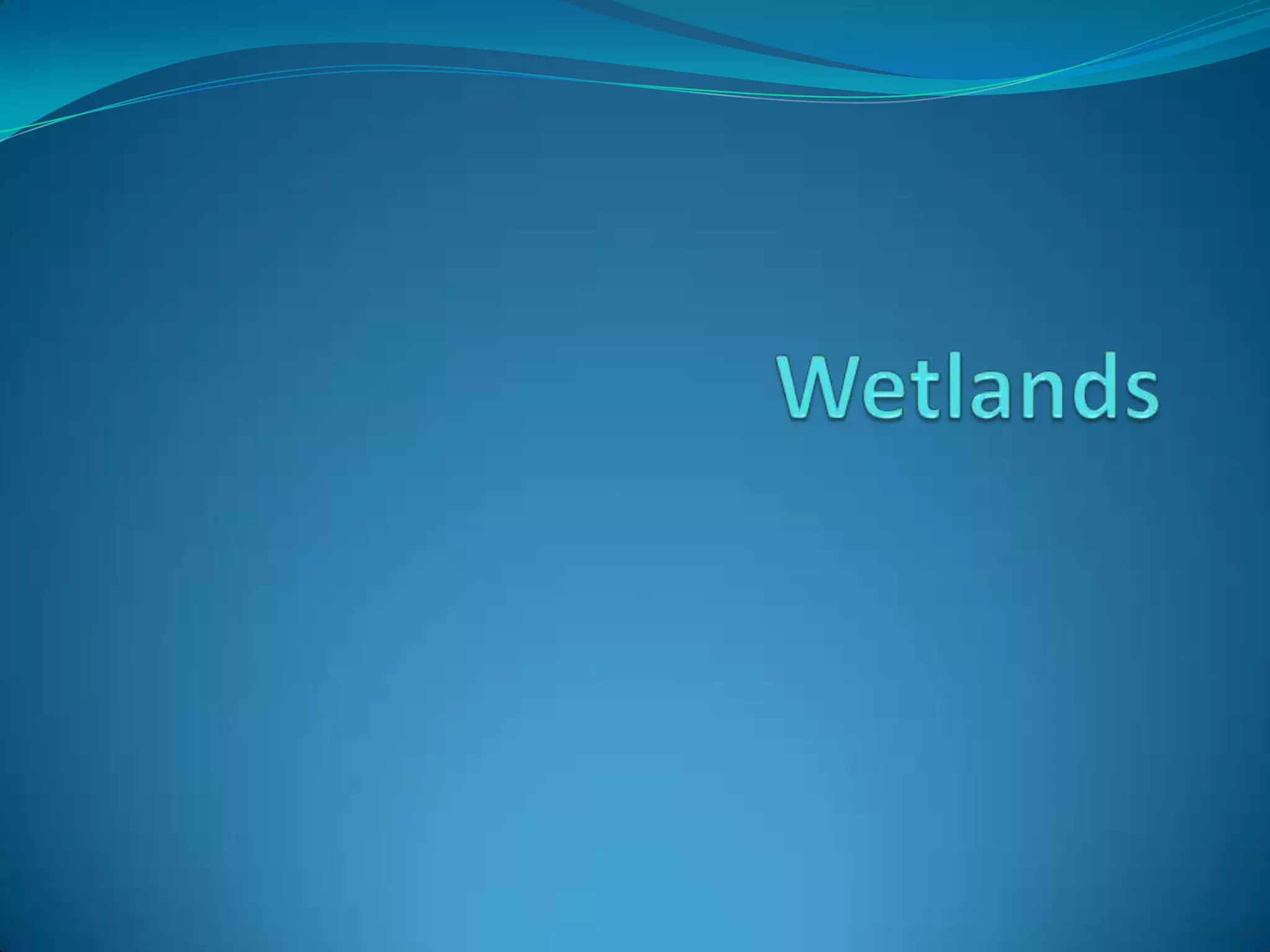 Wetlands | PPTX