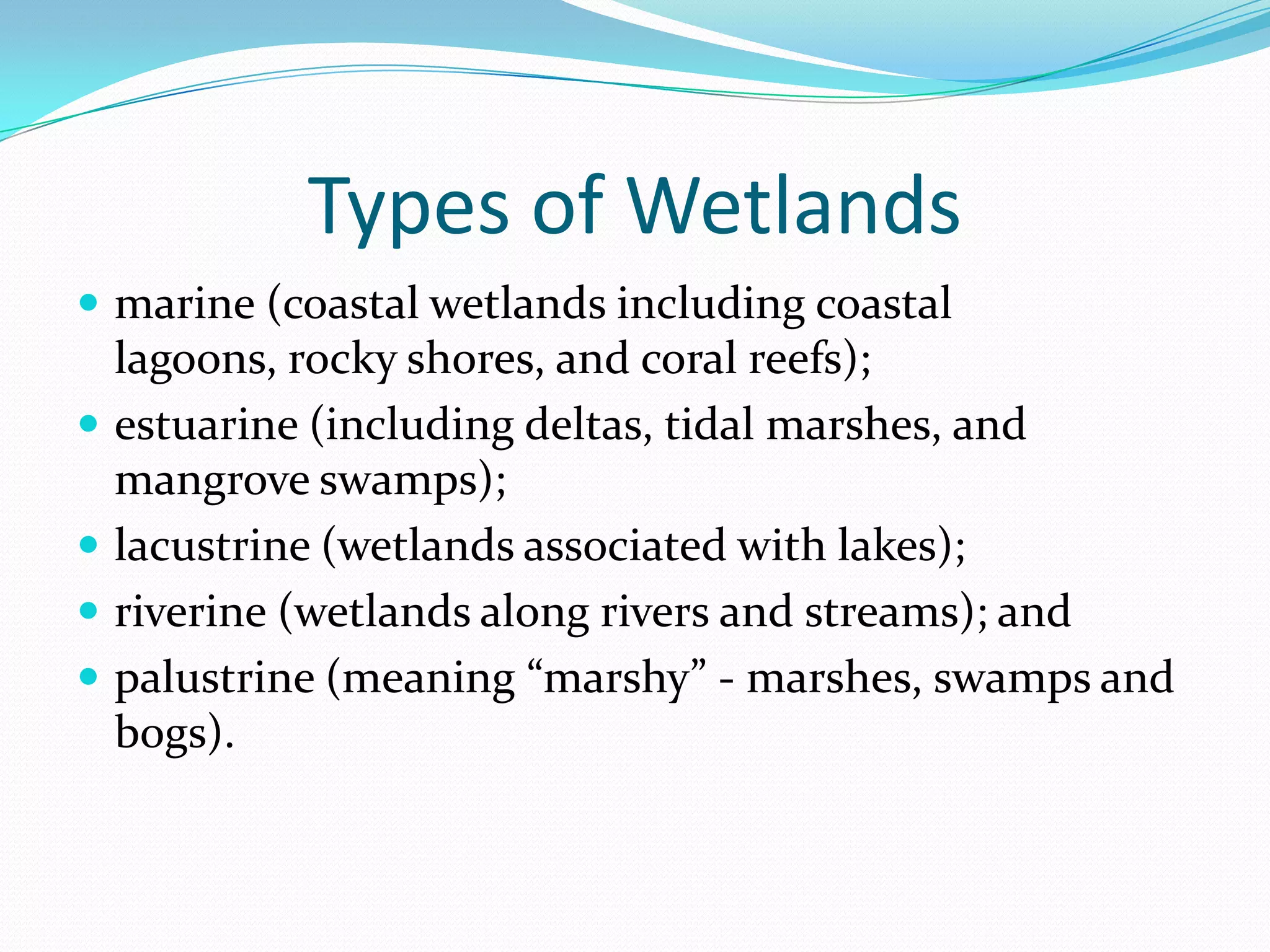 Wetlands | PPTX