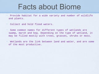 Wetlands | PPT