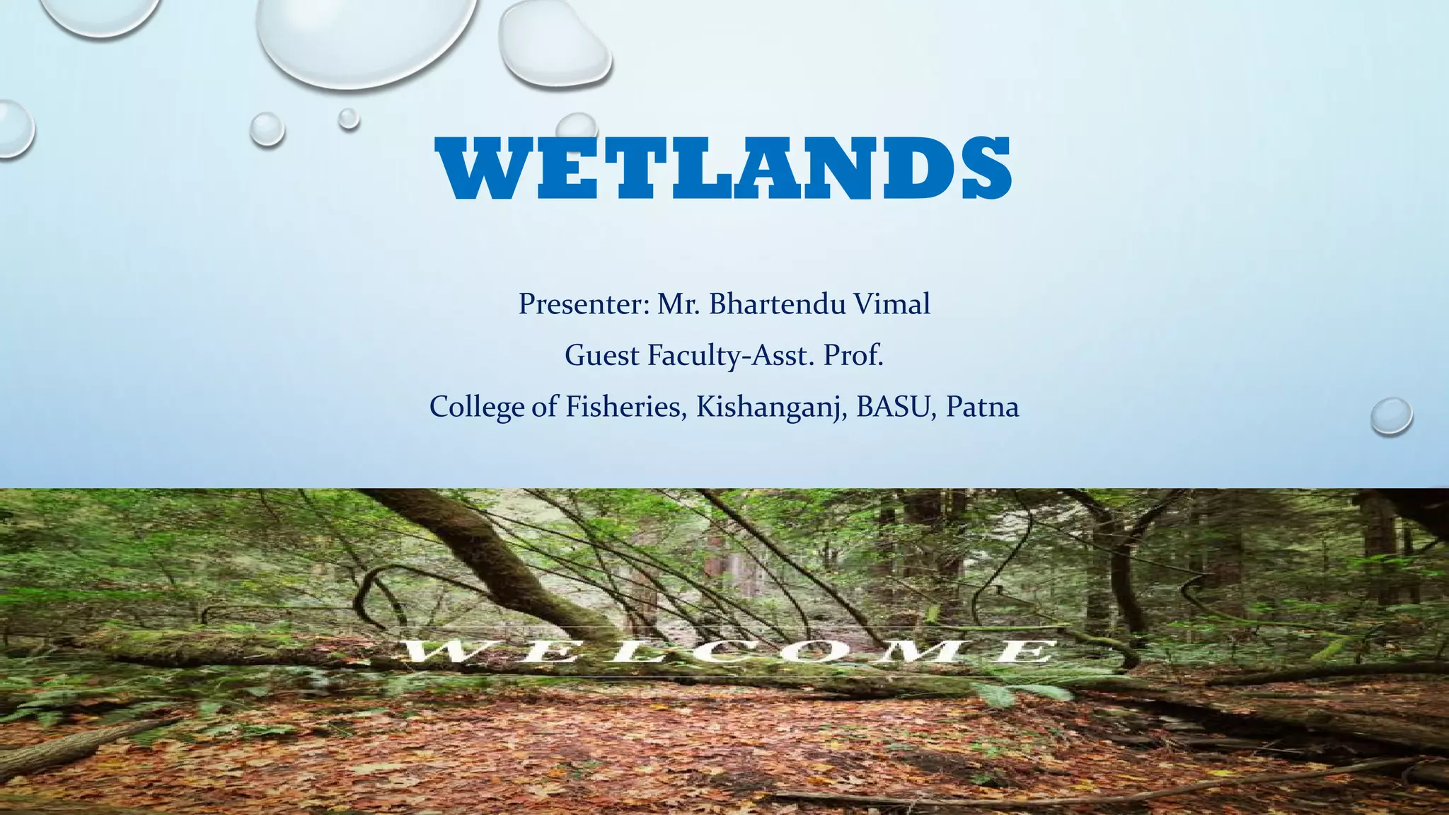 WETLANDS | PDF