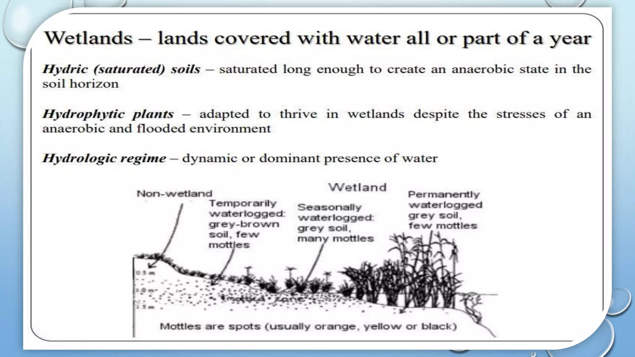 WETLANDS | PDF