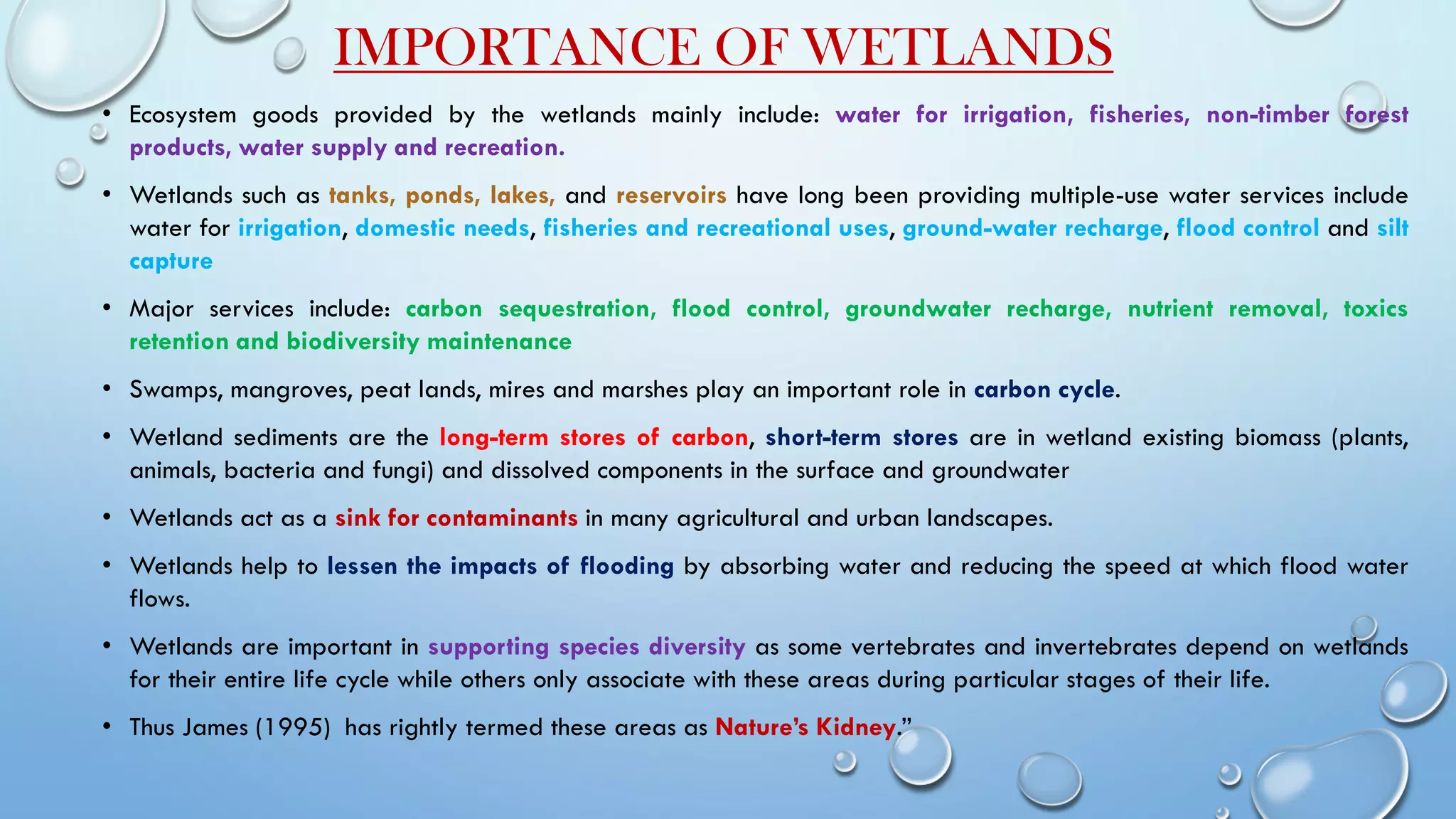 WETLANDS | PDF